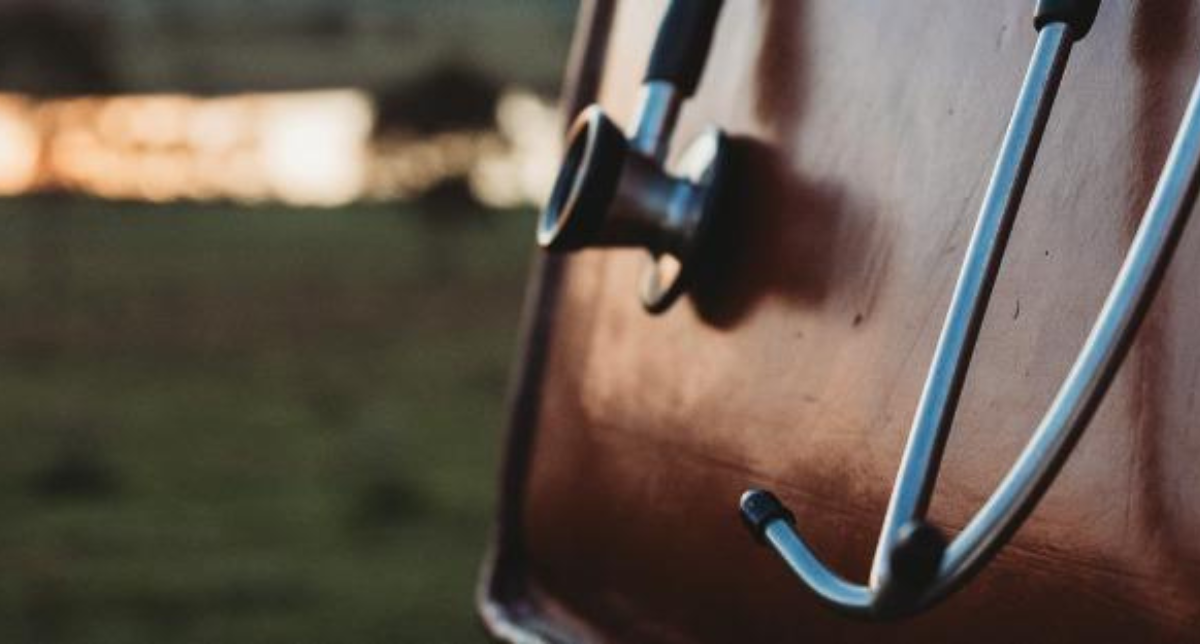 More doctors join rural generalist program in 2026 | Rural Health Pro
